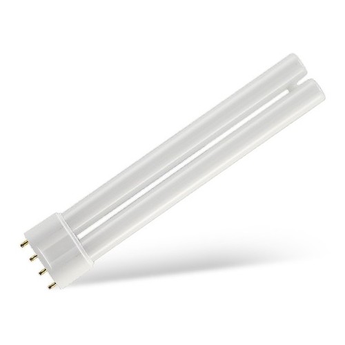 Éclairage néon pour aquarium - Aqualight Solution