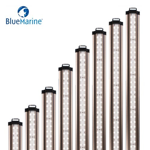 Rampe Led Aquarium Marine | Rampe Led Aquarium 120 Cm – HLULDM