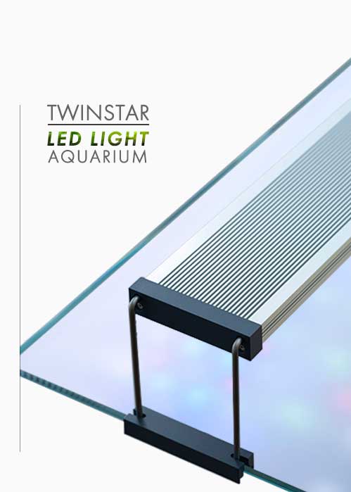 Éclairage pour aquarium - Aqualight Solution